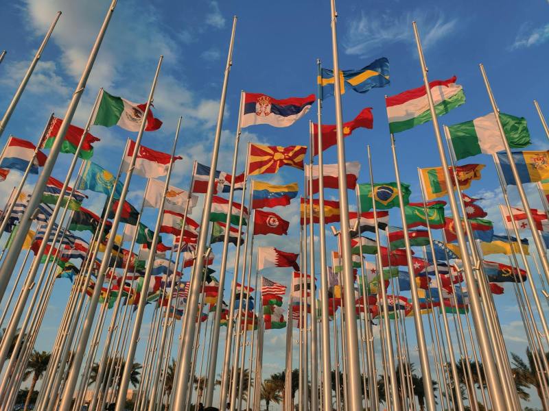 The History of the OECD: A Comprehensive Guide - World History