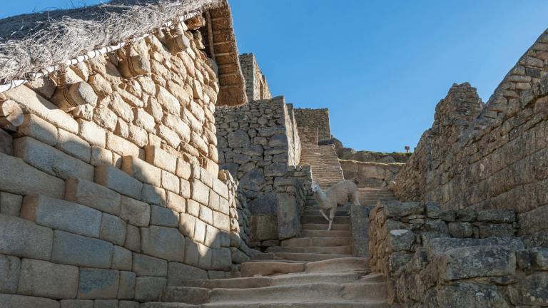 Machu Picchu History: Unveiling the Secrets of the Lost Incan City ...