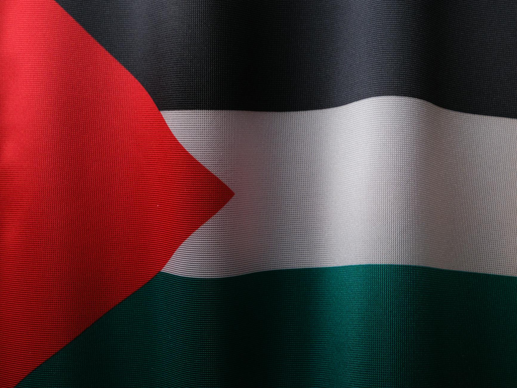 The History of Recognition of Palestine as a State: The Path to ...